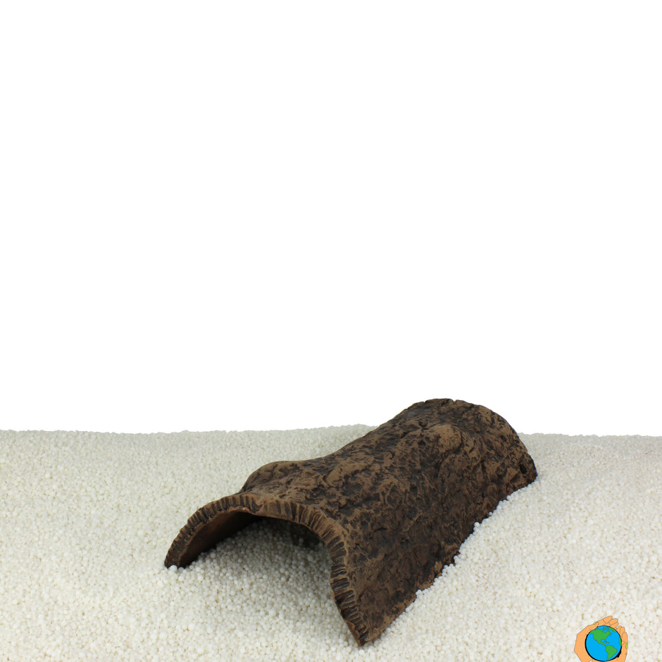 Half Axolotl Cave – Ceramic Hide for Axolotls & Reptiles – CeramicNature