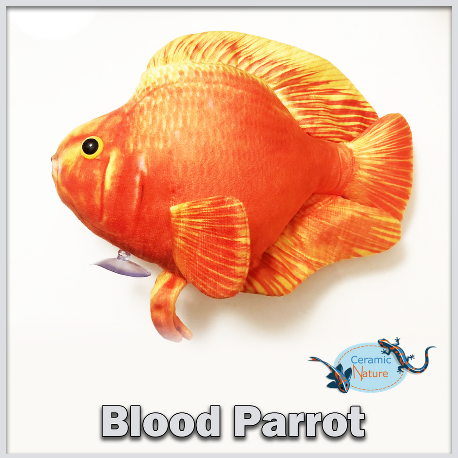 Blood Parrot Fish Plush Toy – Realistic & Colorful Soft Toy for Fish ...