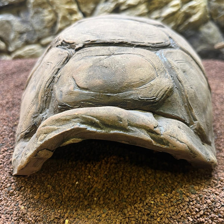 Turtle Caves – Handmade Ceramic Hiding Places for Fish & Reptiles ...